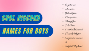 2700+ Best Cool Discord Server Names (Roles, Boys, Girls) - Decidel